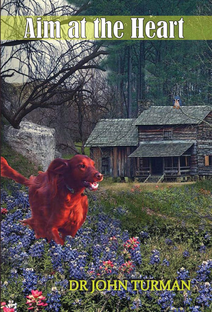 Aim at the Heart - BookLogix BookStore